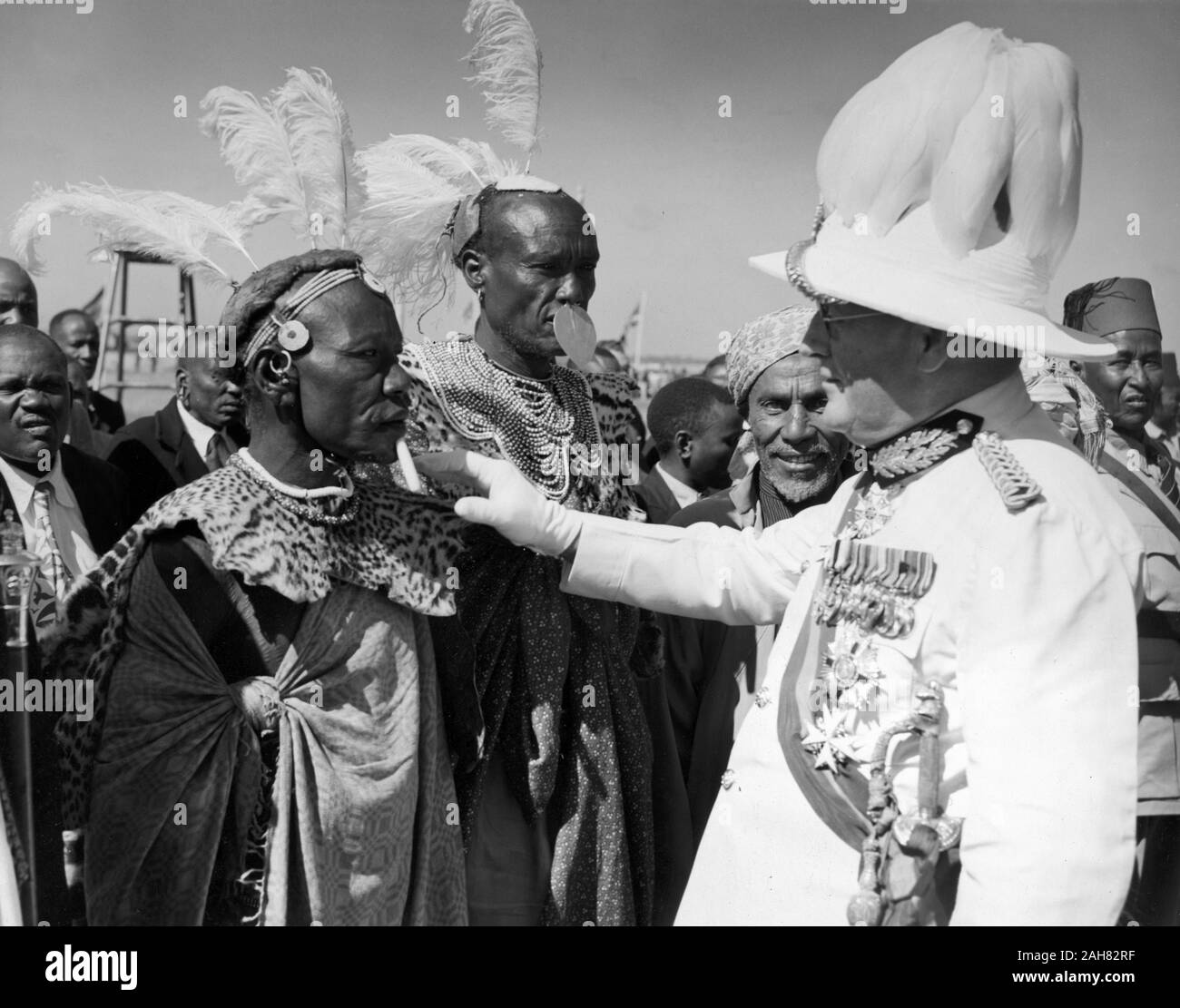 Africelder hi-res stock photography and images - Alamy
