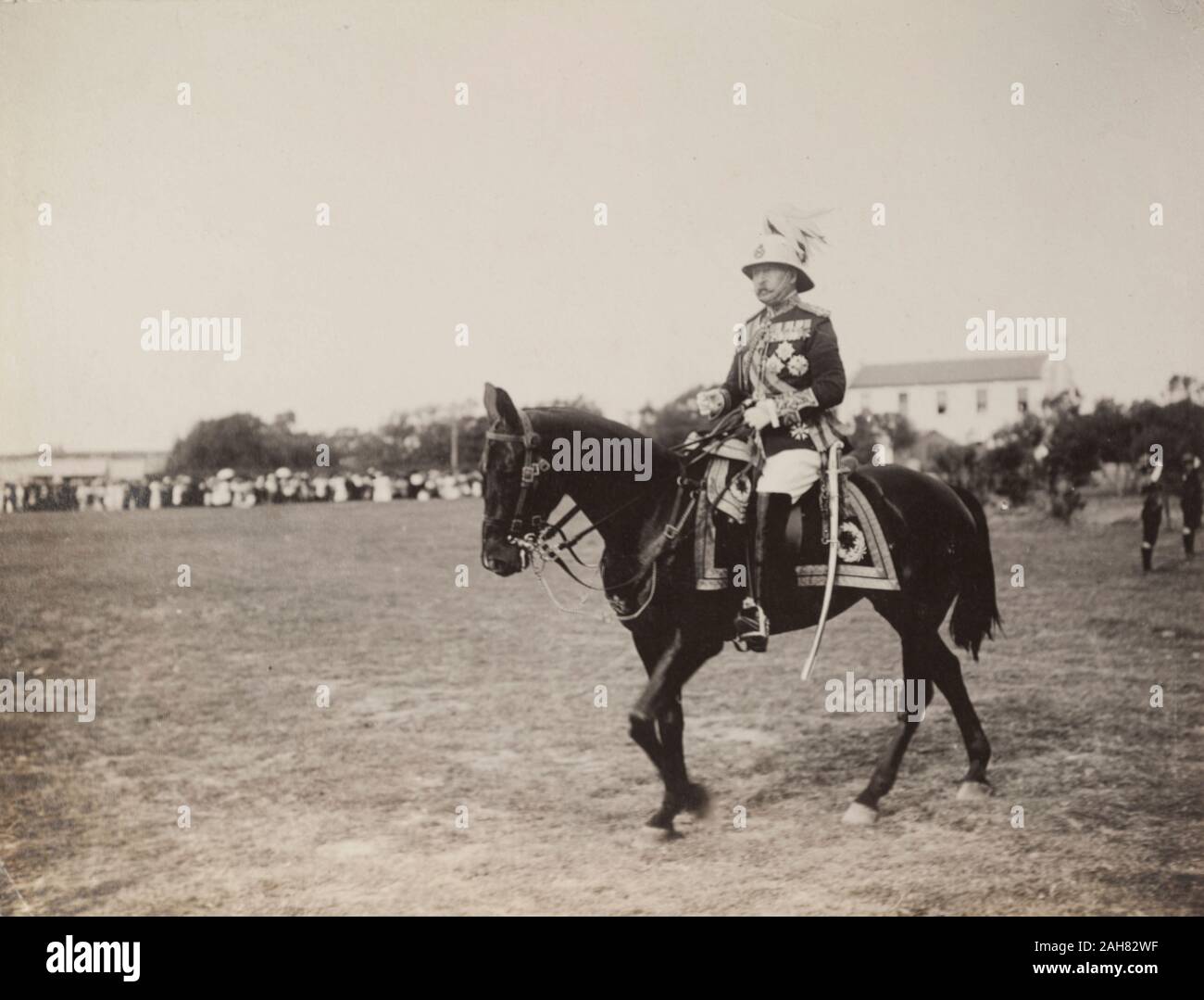 Regalirides hi-res stock photography and images - Alamy