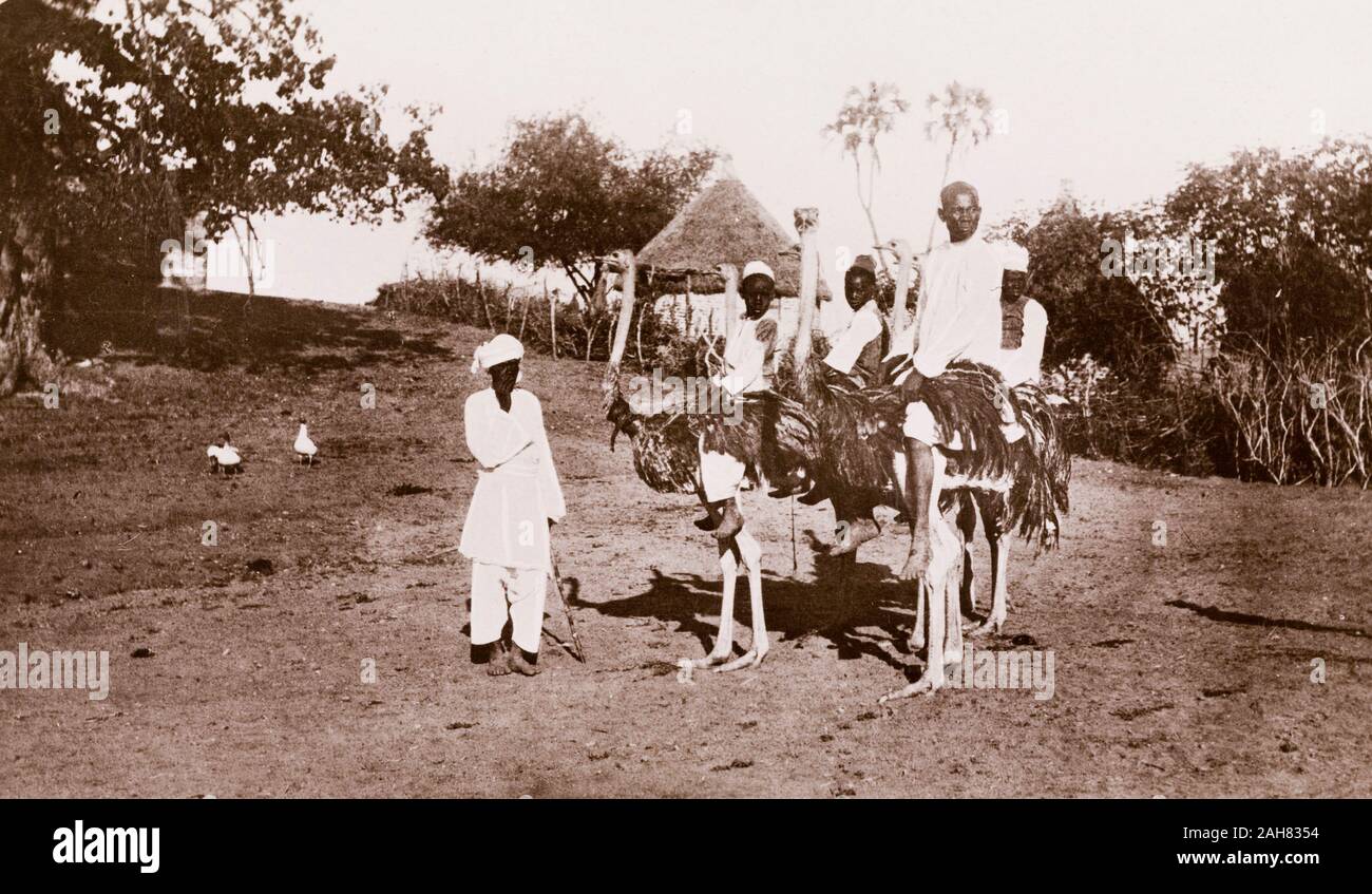 Medani hi-res stock photography and images - Alamy