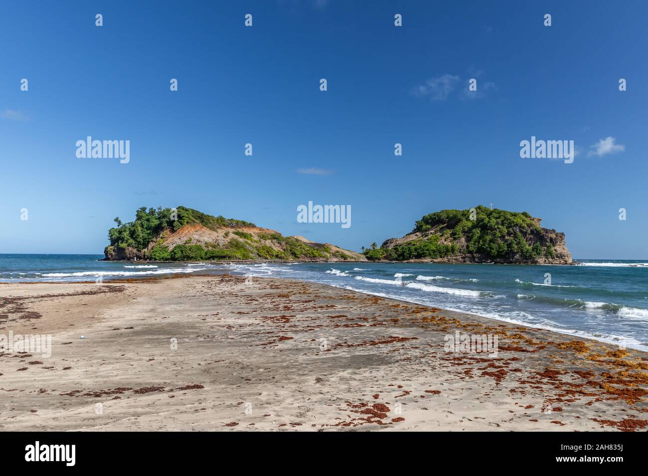 Sea weed on white sand beach in Sainte-Marie, Martinique, France Stock ...