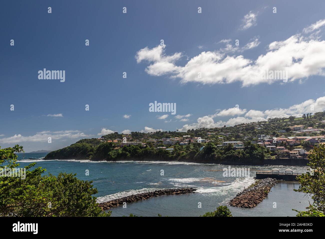 Sargasso sea weed in bay in Marigot, Martinique, France Stock Photo - Alamy