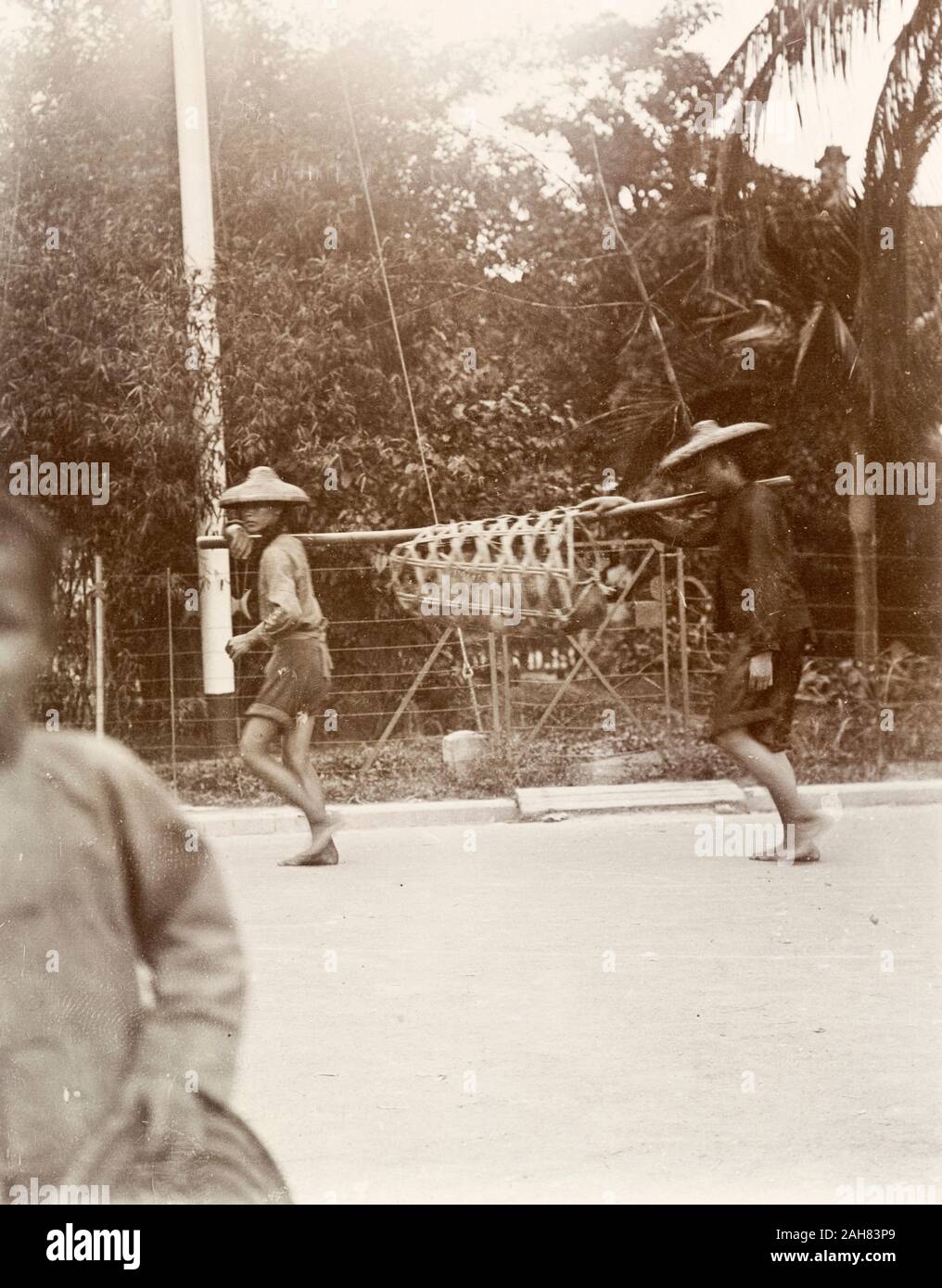 Hong KongChina, Two Chinese men carry a pig in a wicker cage suspended ...
