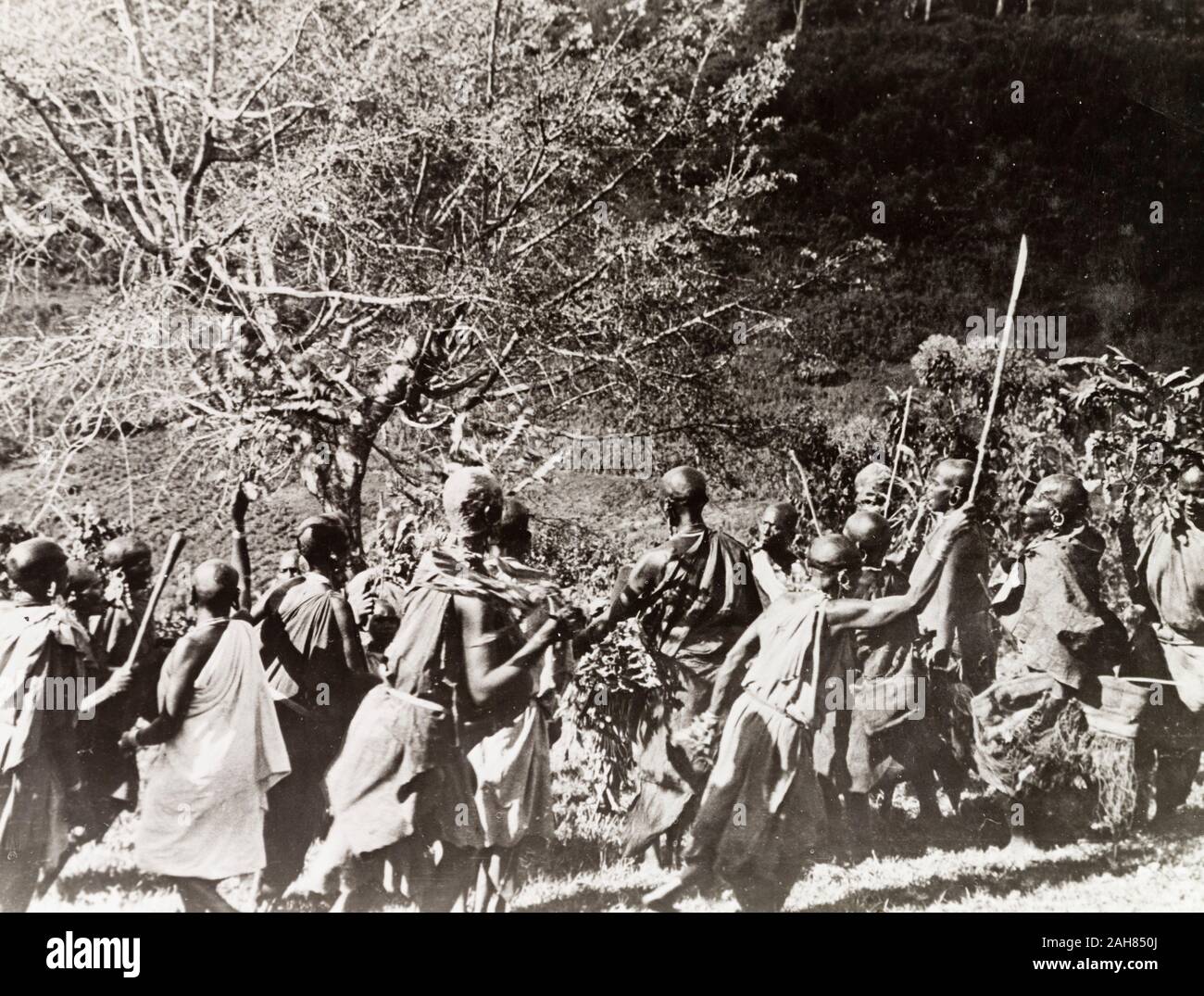 Kenya, Kikuyu women perform a ceremonial dance around a fig tree during ...