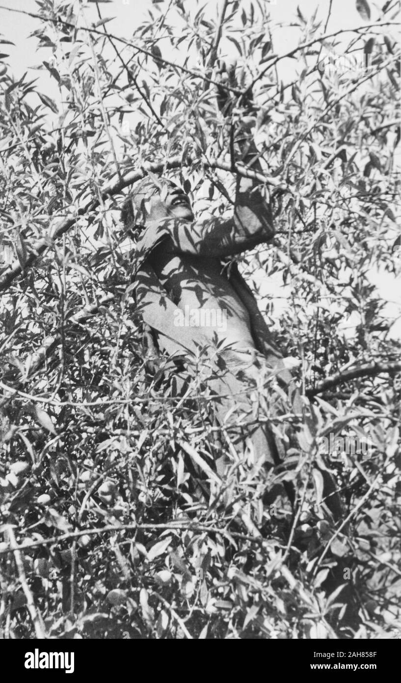 Plantatioriginal hi-res stock photography and images - Alamy