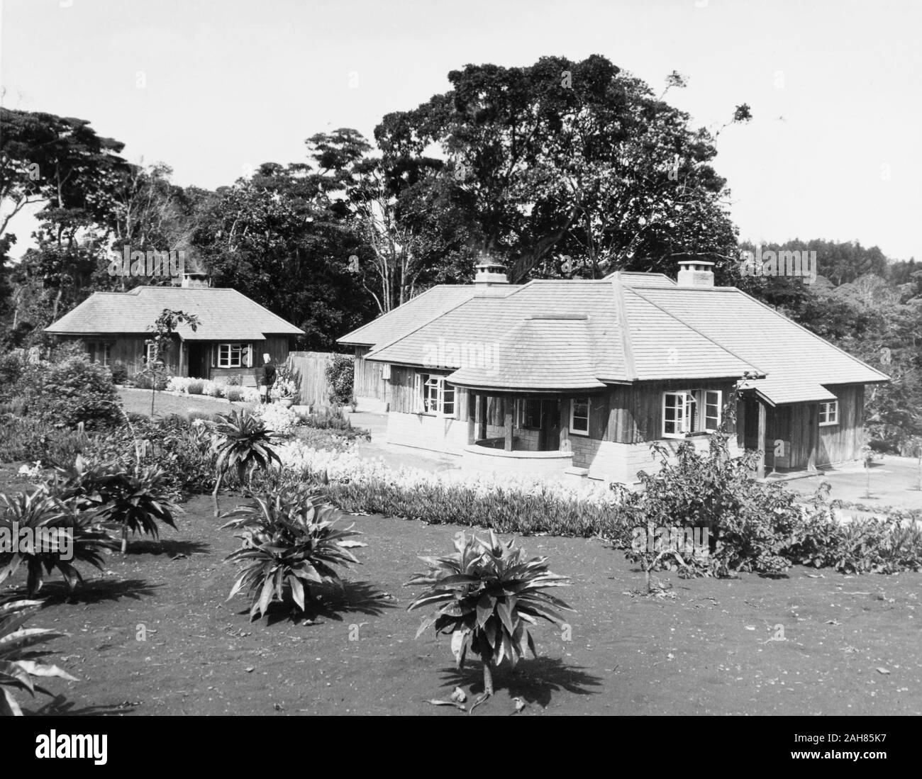 Basement garden hi-res stock photography and images - Alamy