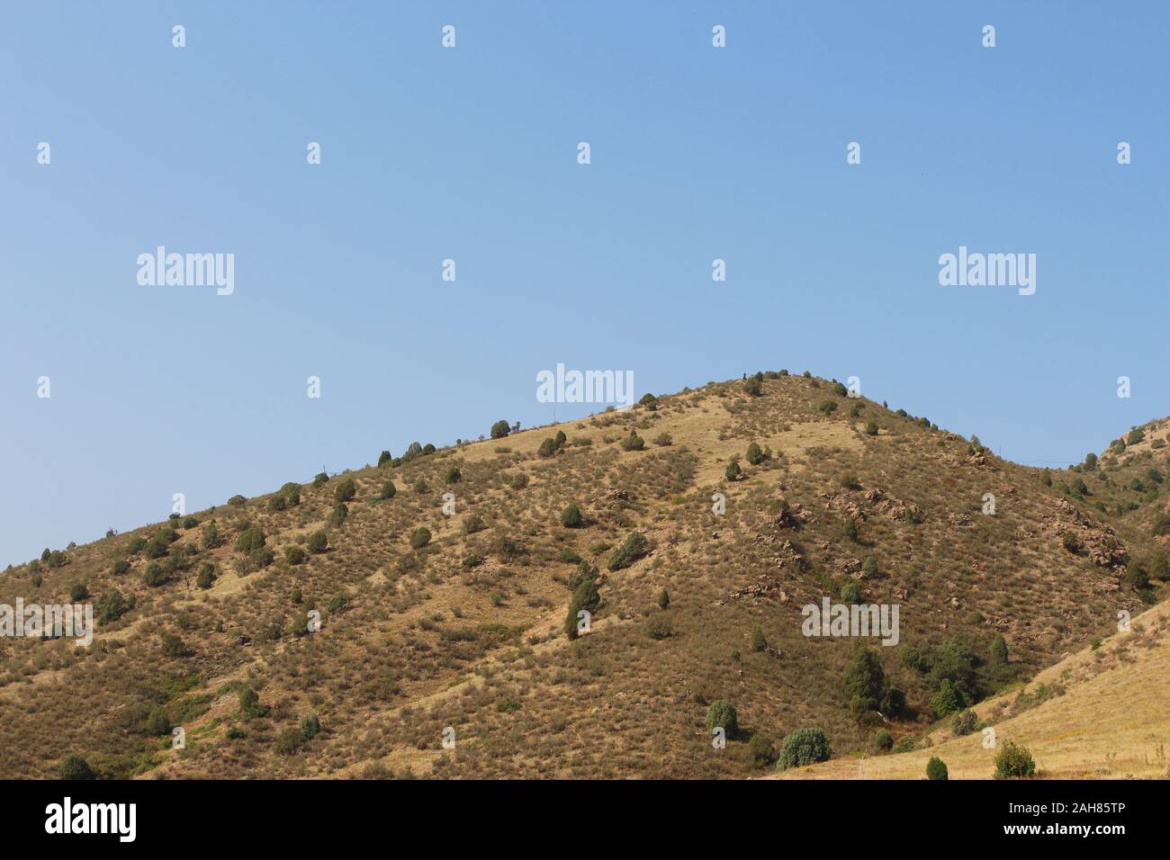 A mountainside covered with shrubs, evergreen bushes and clumps of rock ...