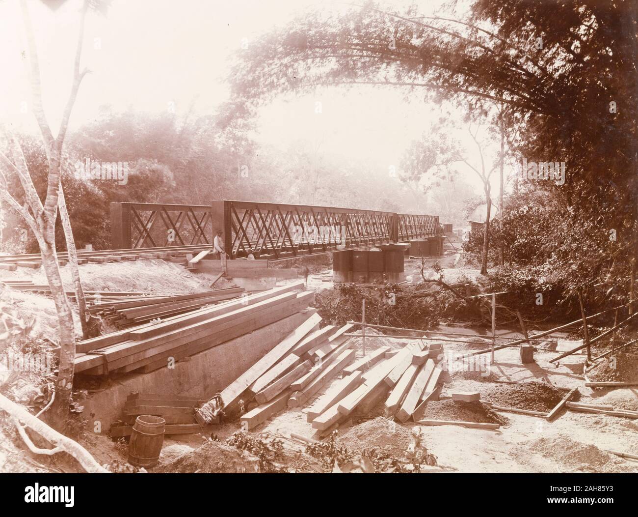 Trinidad & Tobago, Lengths of timber lie on the ground beside a ...