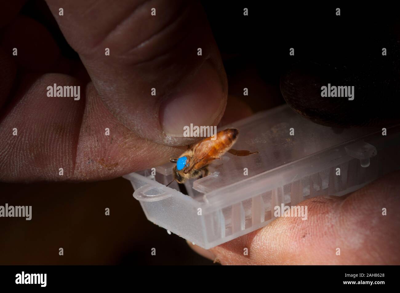 Dispatches box hi-res stock photography and images - Alamy