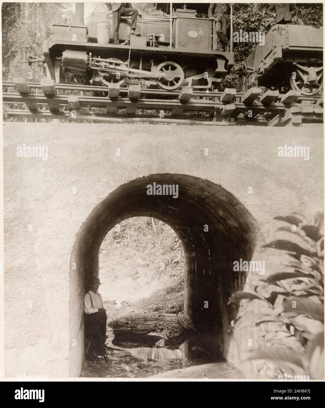 Trinidad & Tobago, A small steam train crosses culvert 'No. 35' on a ...