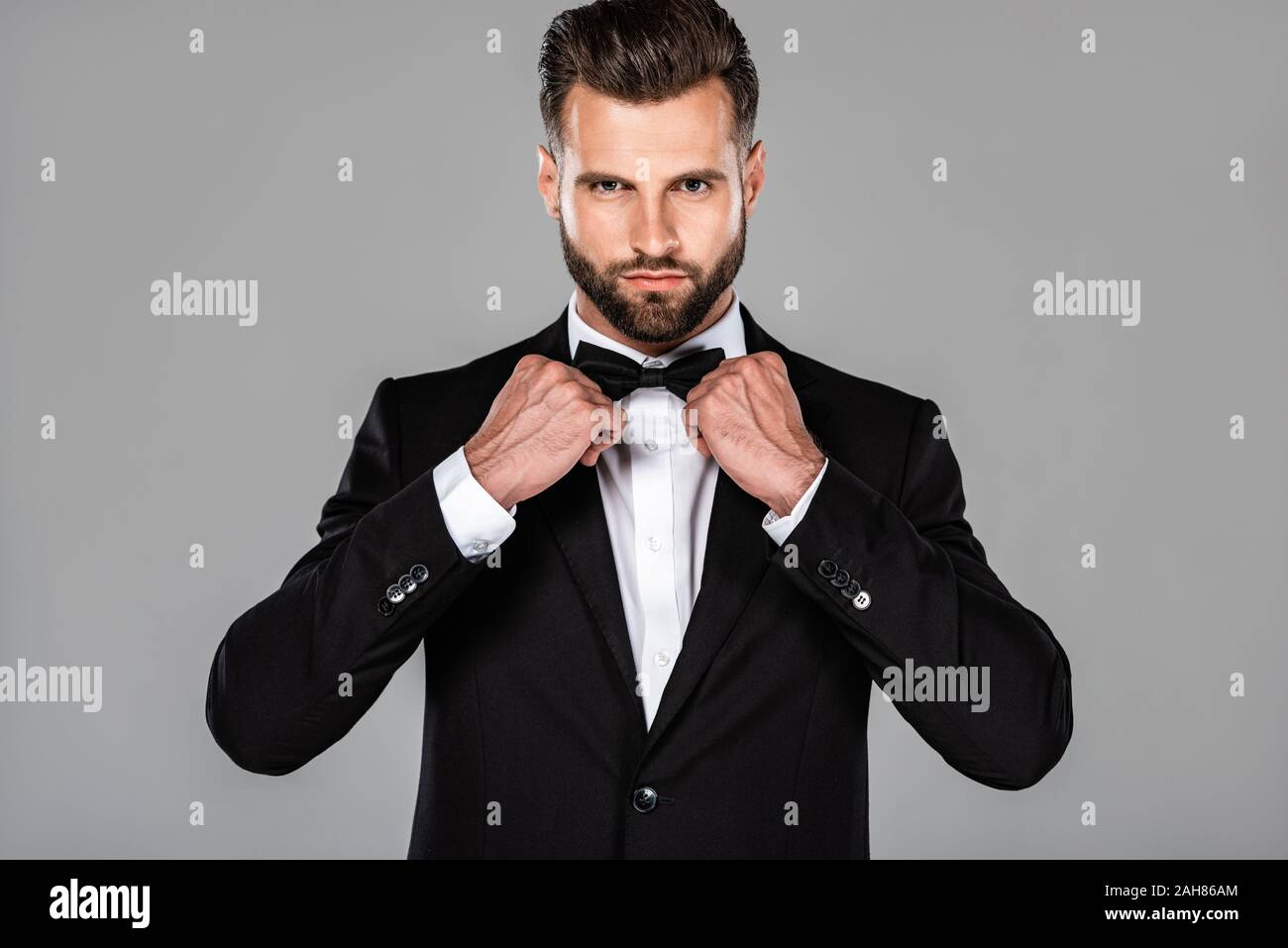 elegant man in black suit fixing bow tie isolated on grey Stock Photo ...
