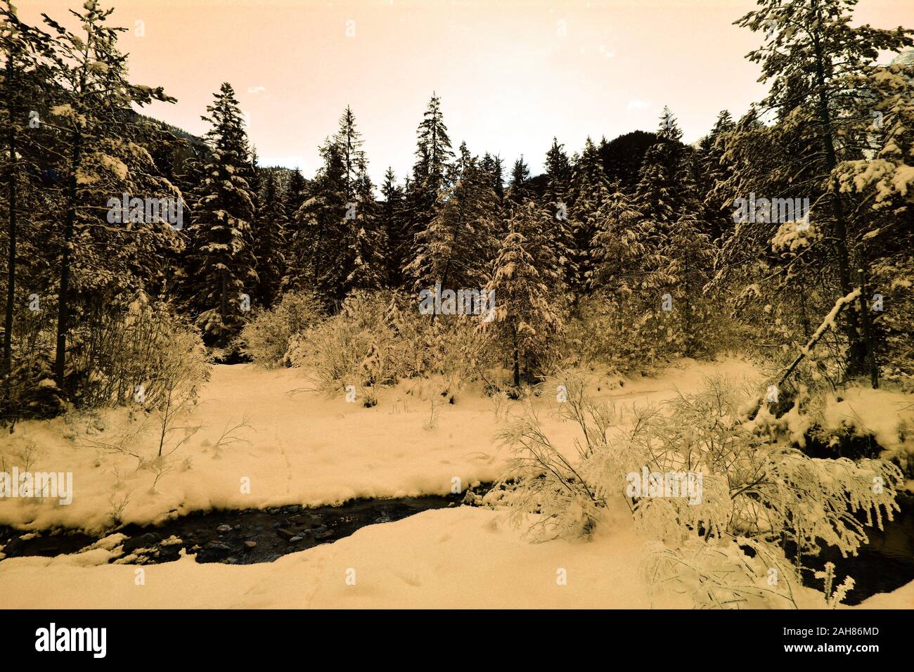 Canazei christmas hi-res stock photography and images - Alamy
