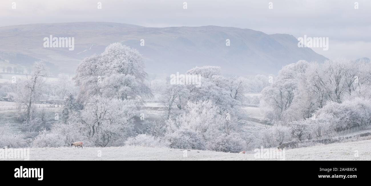 Narnia landscape hi-res stock photography and images - Alamy