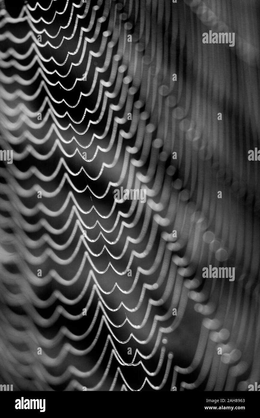 Abstract black white hexagonal Black and White Stock Photos & Images ...