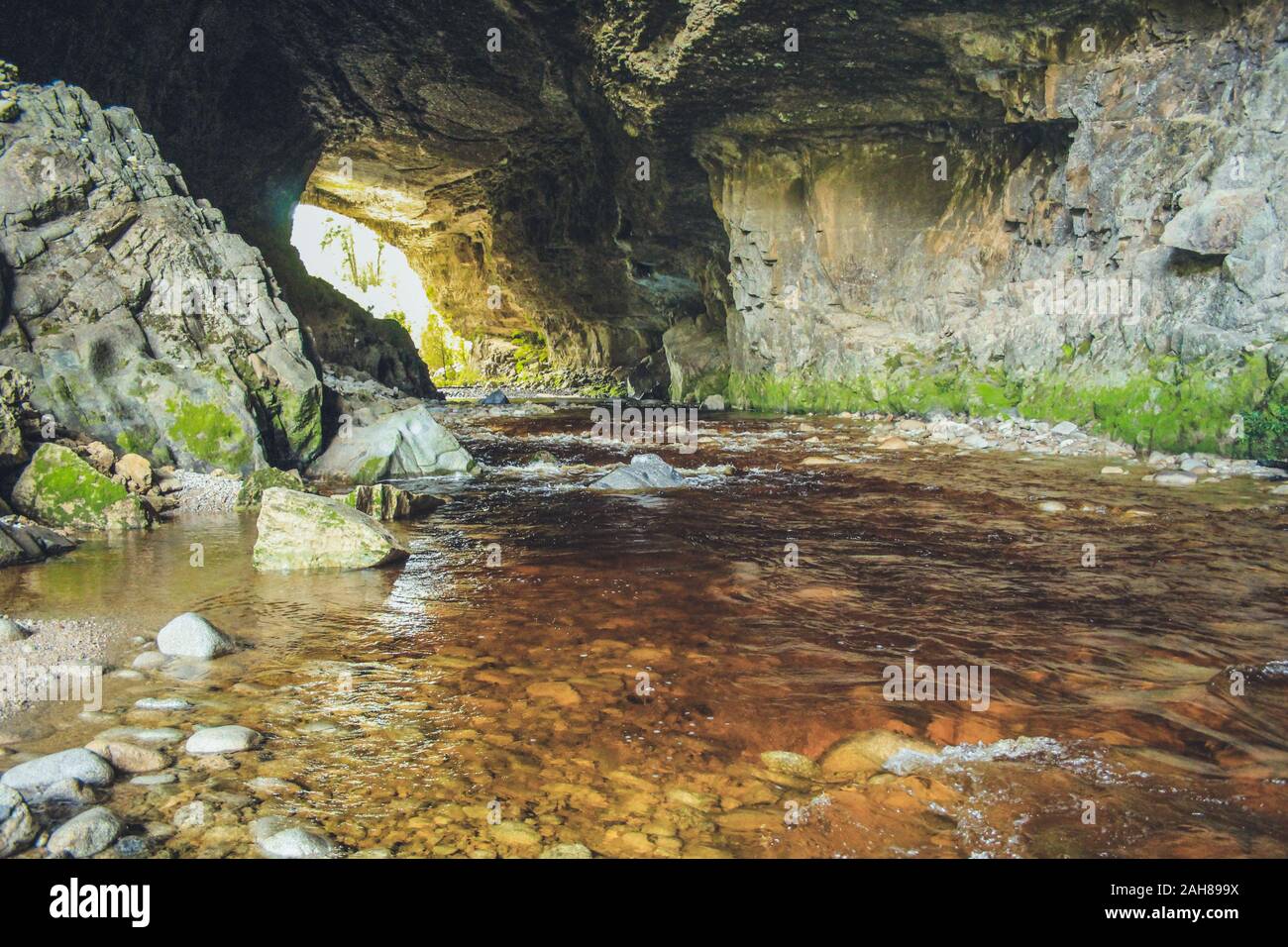 Oparara basin hi-res stock photography and images - Alamy