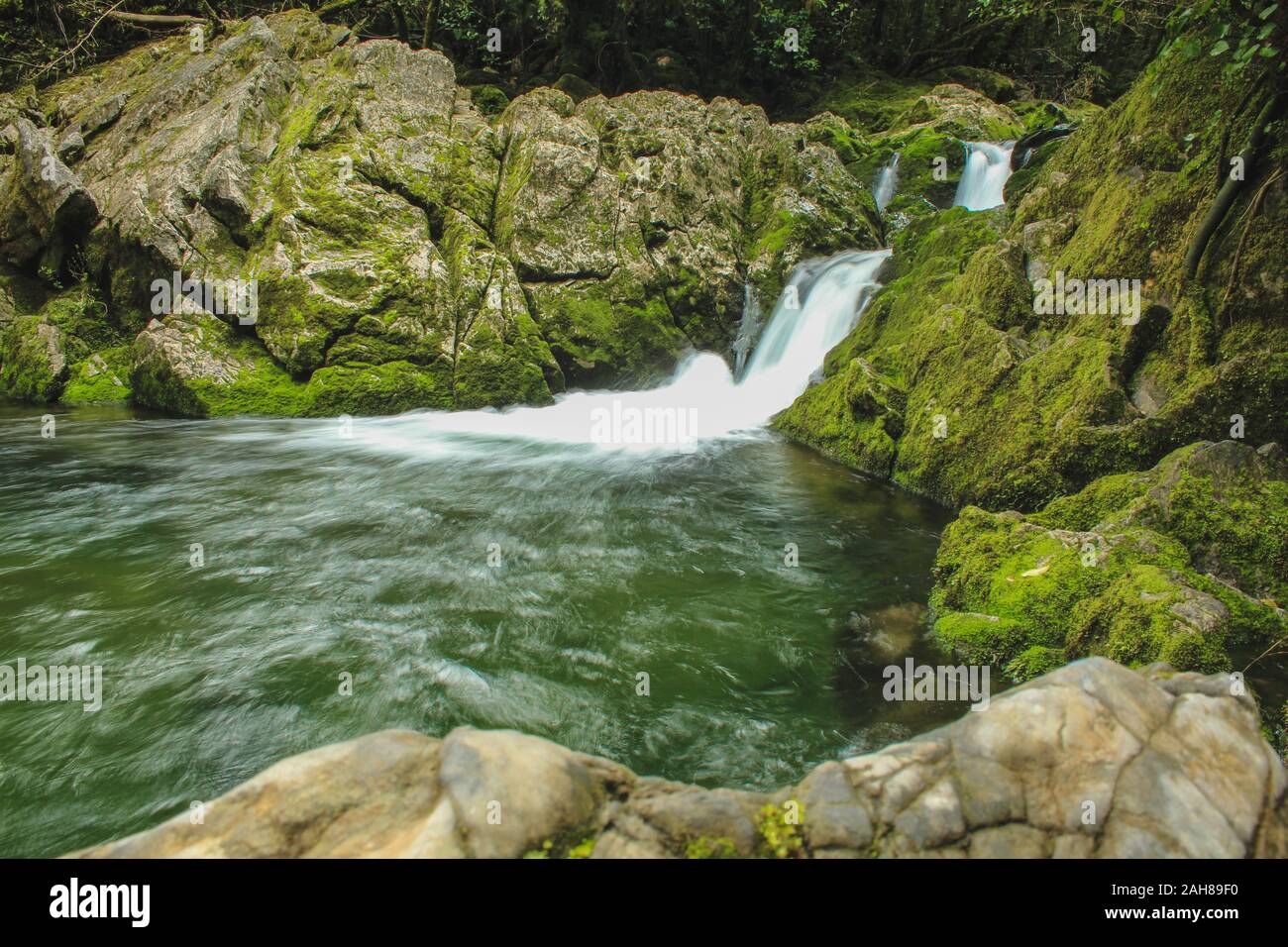 River at Riwaka Resurgence, South Island, New Zealand Stock Photo - Alamy