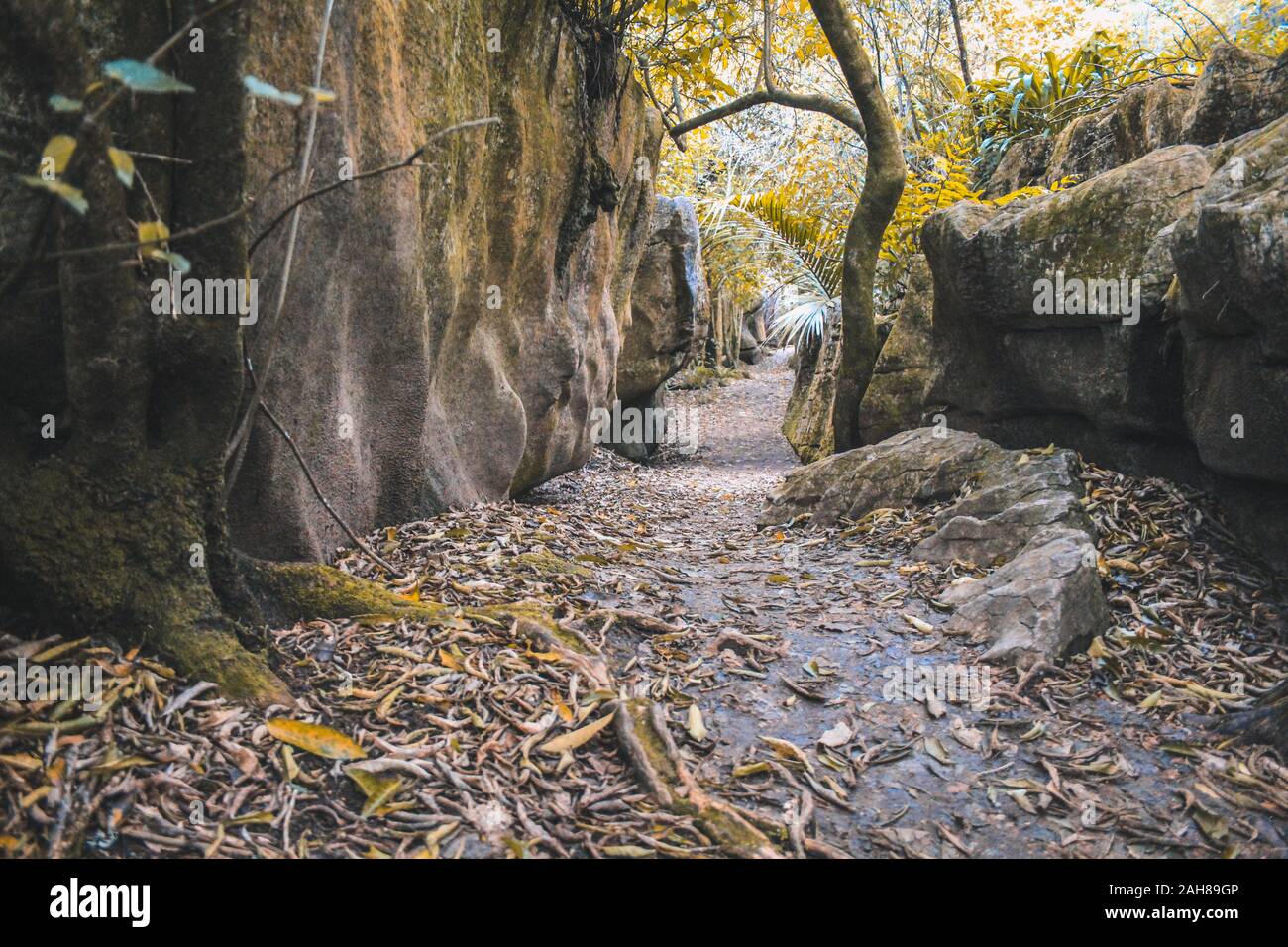 Labyrinth Rocks in Takaka, South Island, New Zealand Stock Photo - Alamy