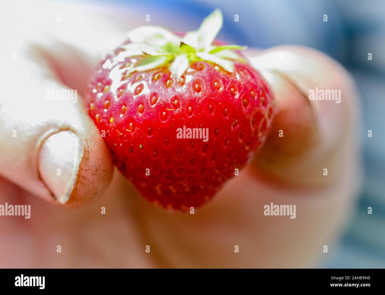 Red strawberry in a hand Stock Photo - Alamy