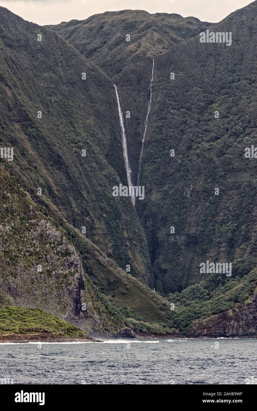 Molokai's Sea cliffs, the tallest on earth, Molokai, Hawaii - USA Stock ...