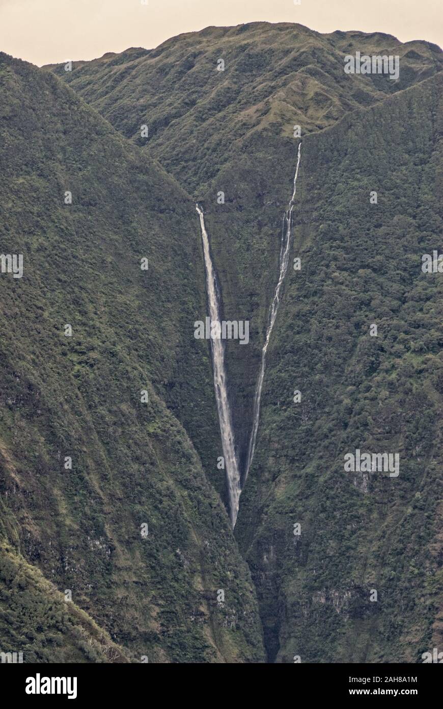 Molokai's Sea cliffs, the tallest on earth, Molokai, Hawaii - USA Stock ...