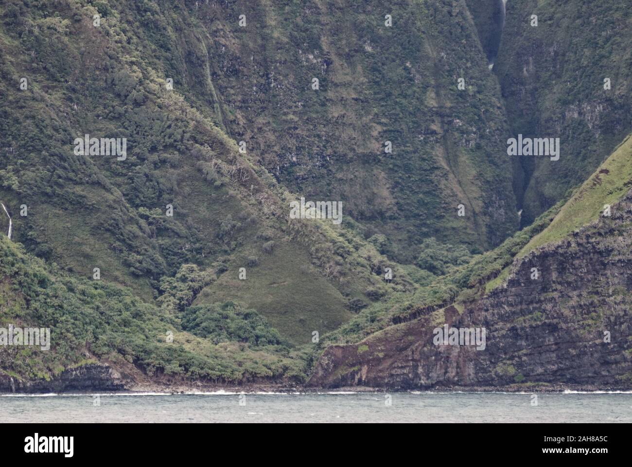 Molokai's Sea cliffs, the tallest on earth, Molokai, Hawaii - USA Stock ...