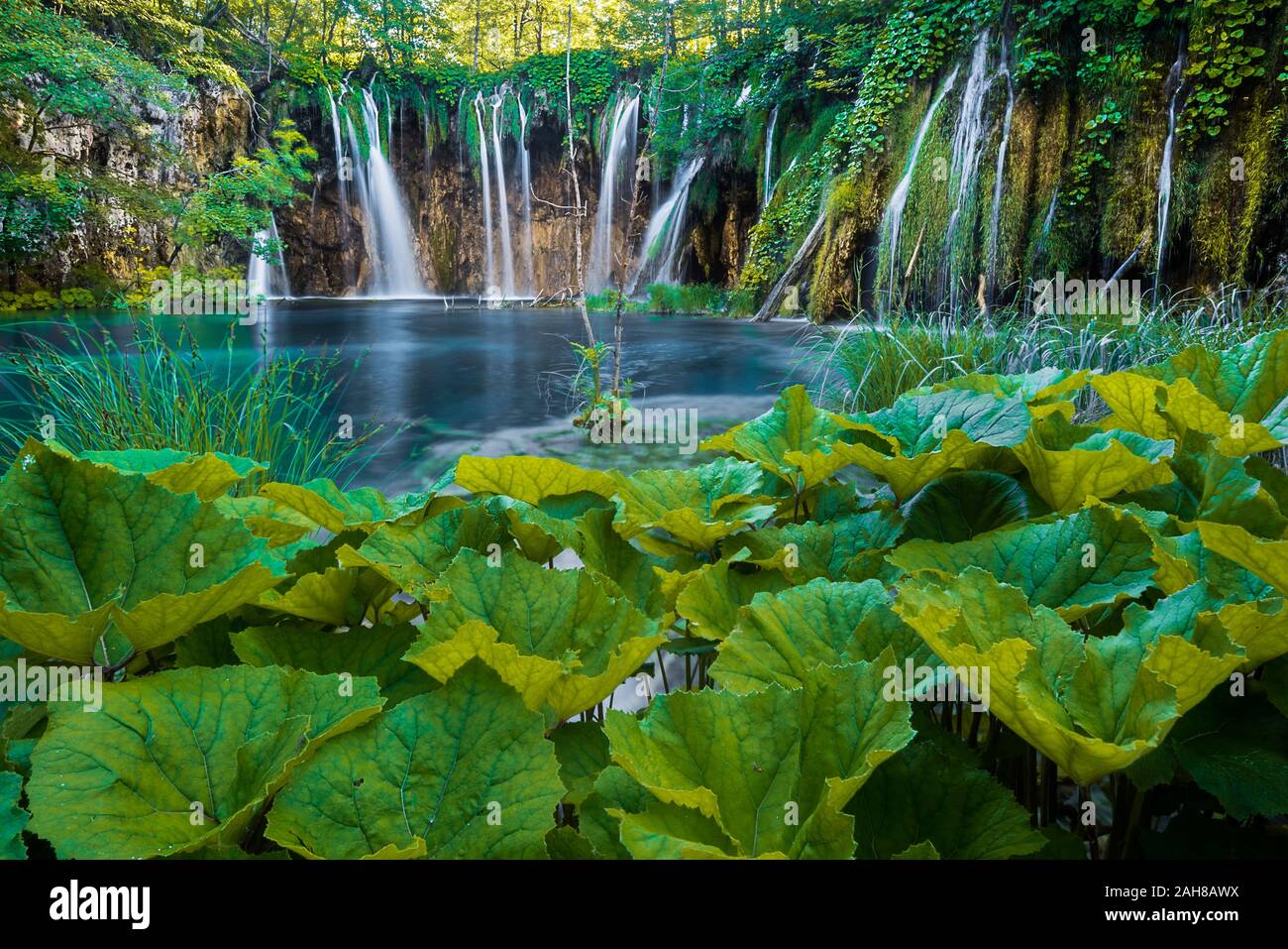 Vegetation and waterfall hi-res stock photography and images - Alamy