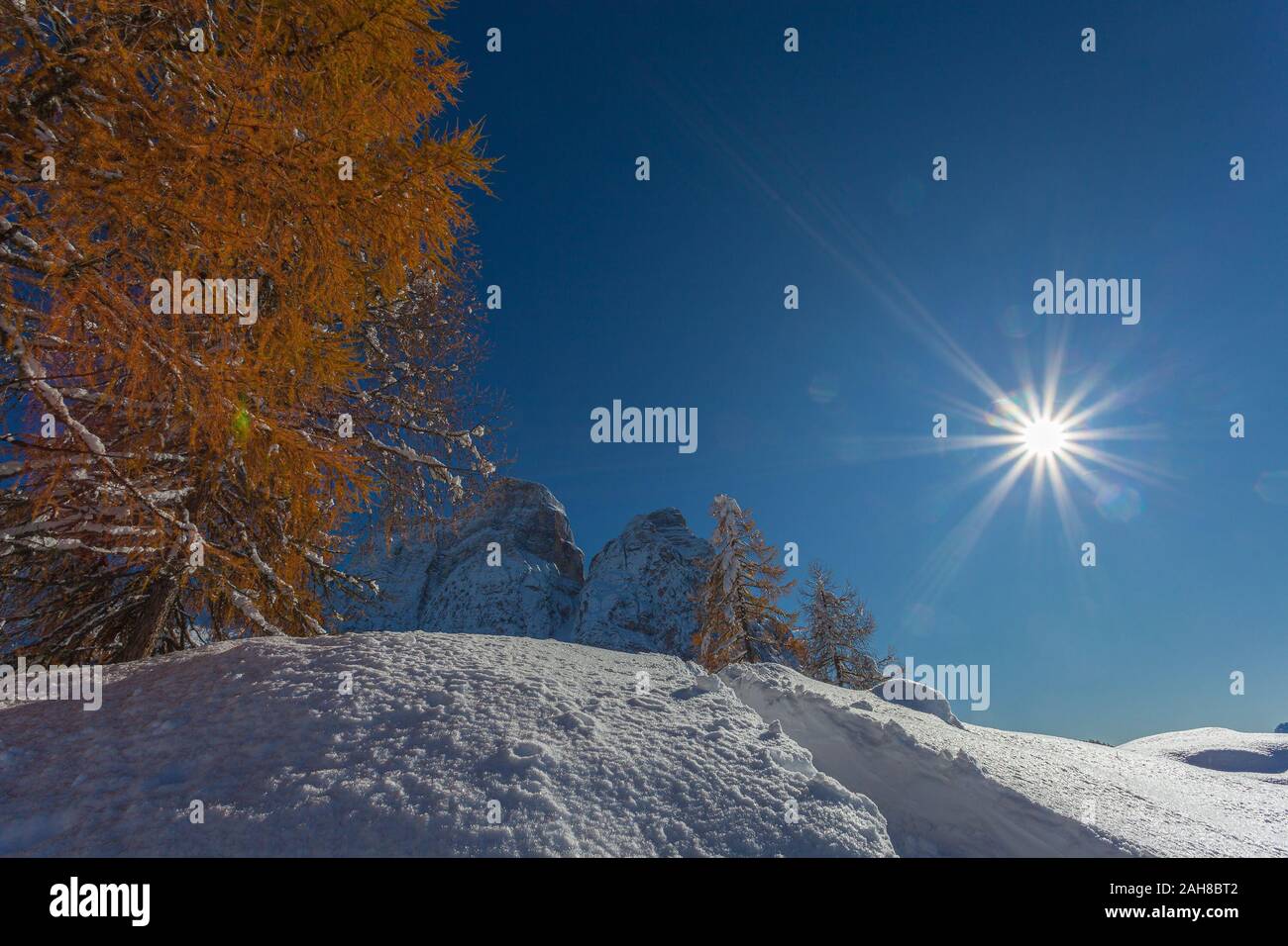 Mount Pelmo that comes out behind a snowdrift, next to an autumn ...