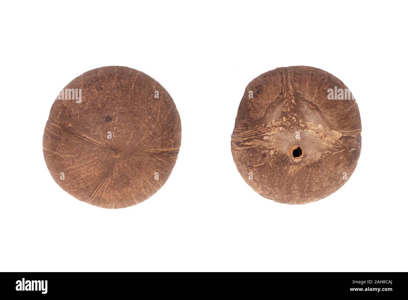 Dried coconut peel isolated on the white background Stock Photo - Alamy