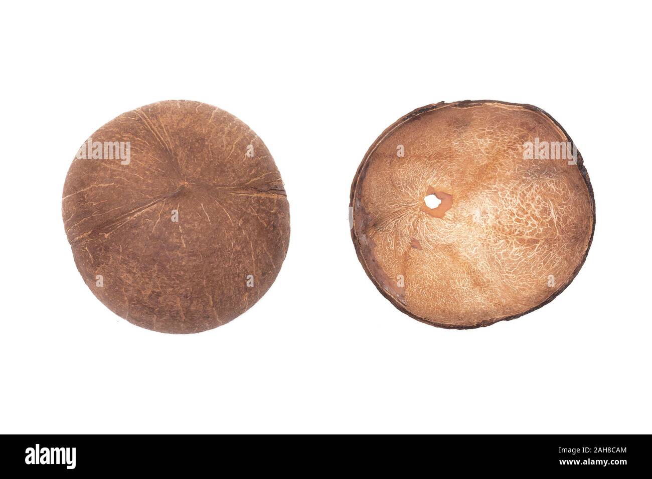 Dried coconut peel isolated on the white background Stock Photo - Alamy