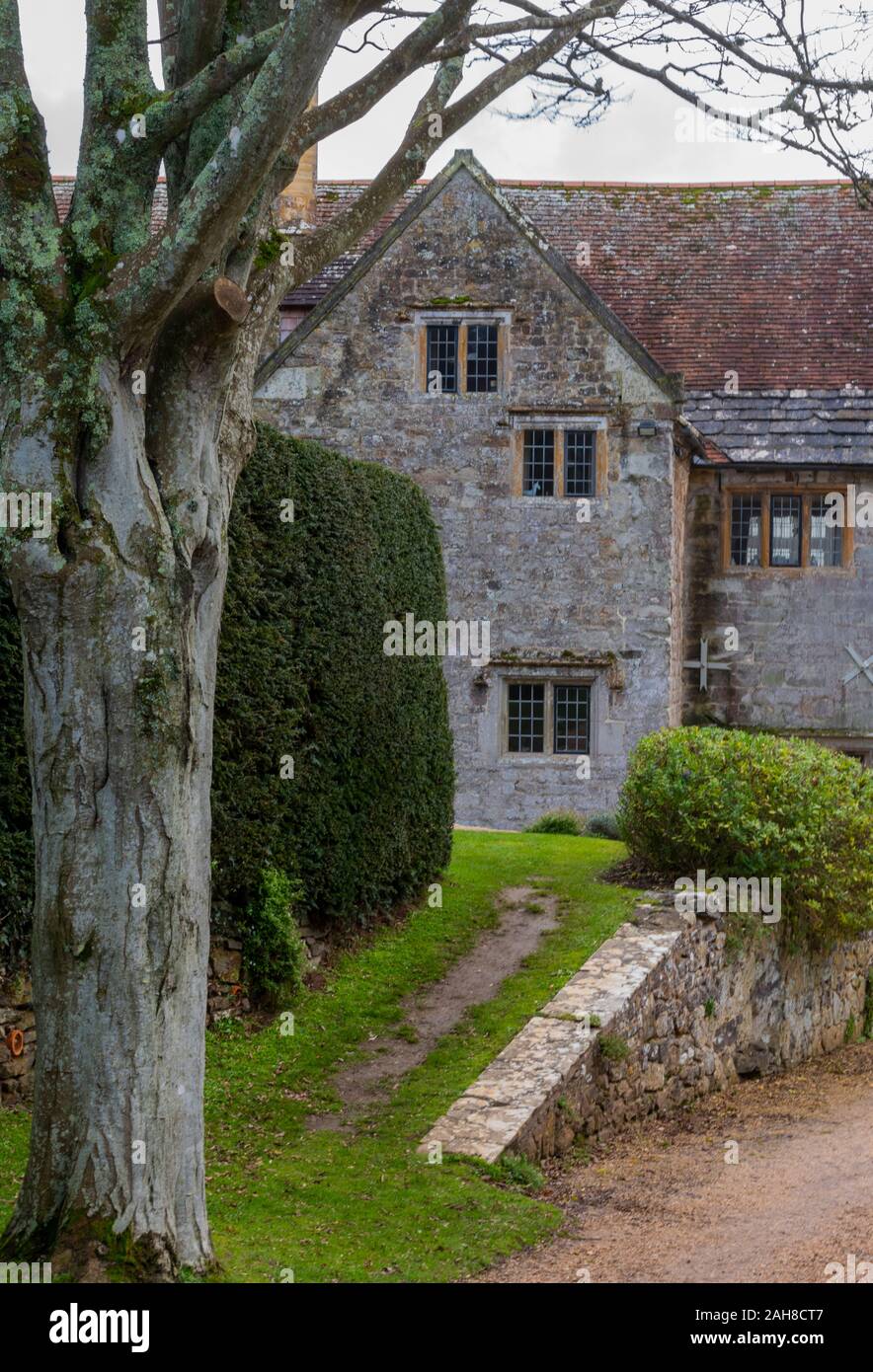 old medieval manor house at mottistone on the isle of wight with a tree ...