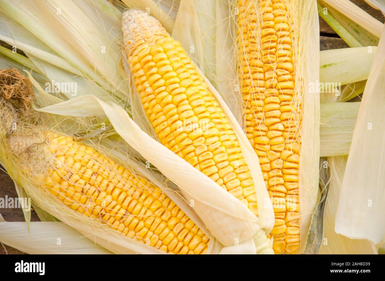 Close up fresh yellow corn hi-res stock photography and images - Alamy