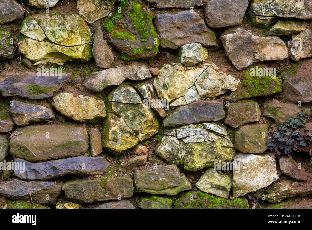 traditionally laid stone wall Stock Photo - Alamy