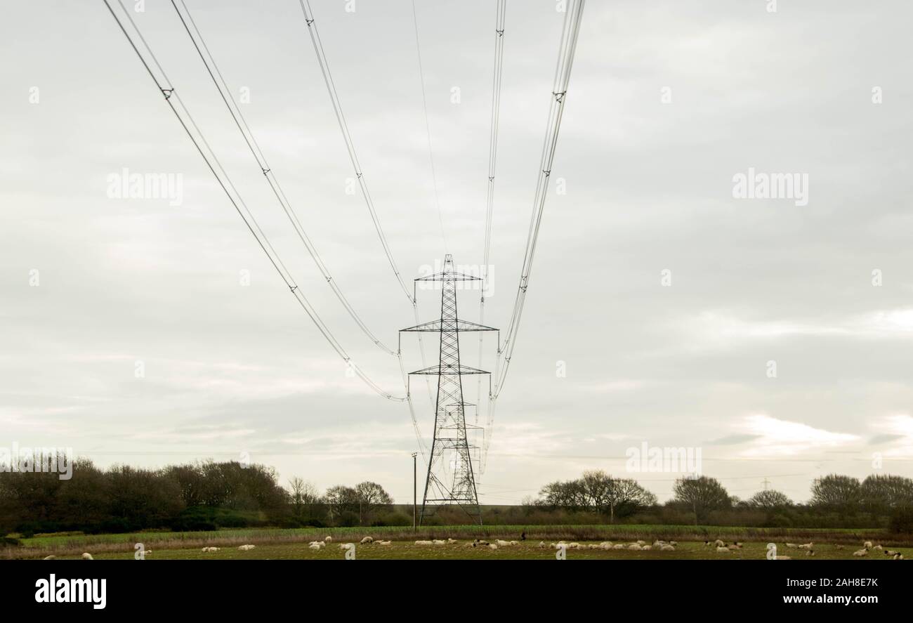 A row of electricity pylons stretch across the countryside, in the ...