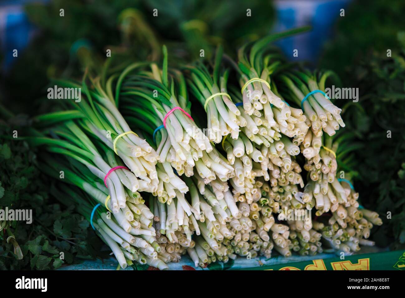 Fresh green onions on the market. The stems of onions on sale Stock ...