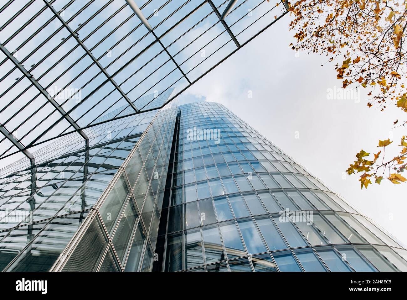 Reflection of the sky on a skyscraper. View of skyscrapers from below ...