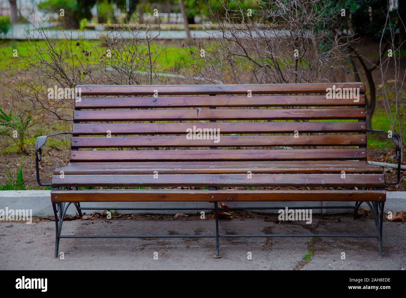 Blank Old bench in a shady area of the garden or the park,outdoor ...