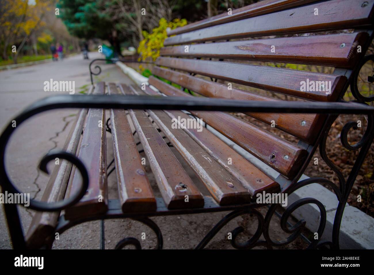 Tranquil bench shady path hi-res stock photography and images - Alamy