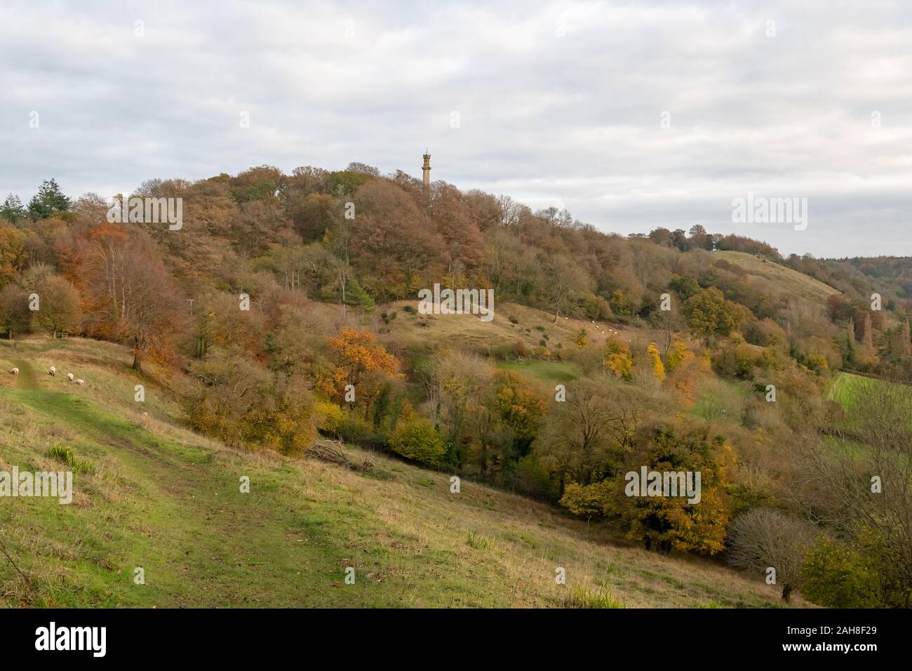 The polden way hi-res stock photography and images - Alamy
