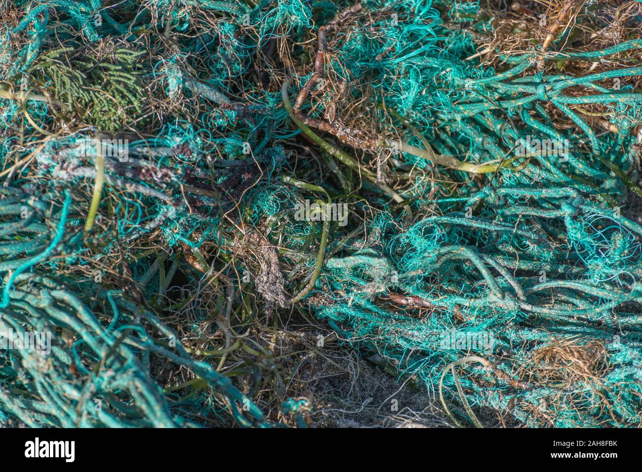 Mass of colourful polymer fishing ropes and netting in a tangled state ...