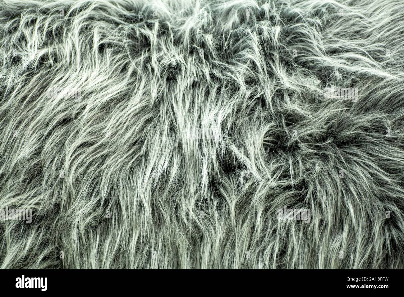 Gray fur background. Pile and texture of fur Stock Photo - Alamy