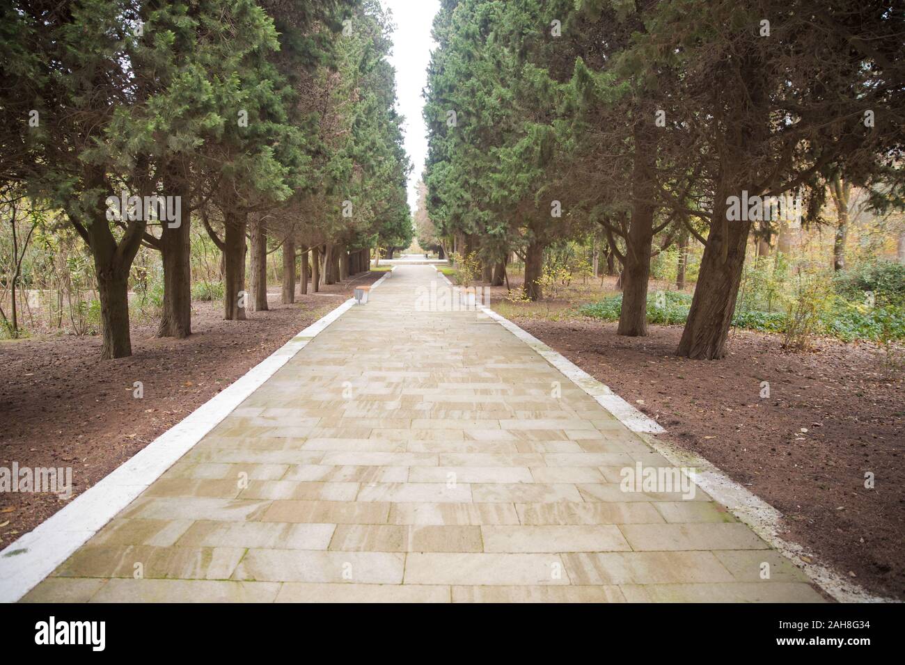The stone path inside the park . stone path between pine trees Stock ...