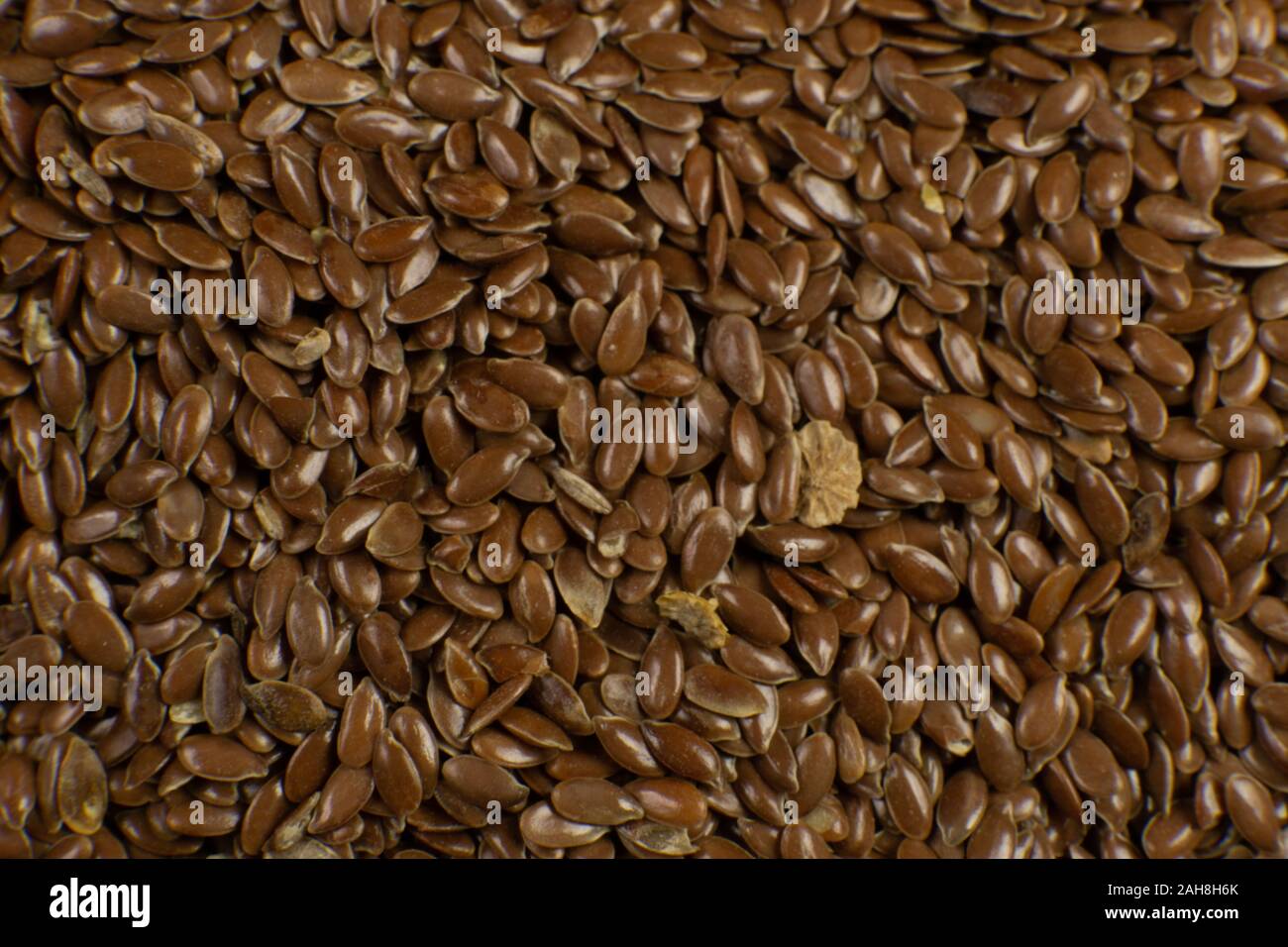 Linum usitatissimum is scientific name of Brown Flax seed. Also known as Linseed, Flaxseed and ...