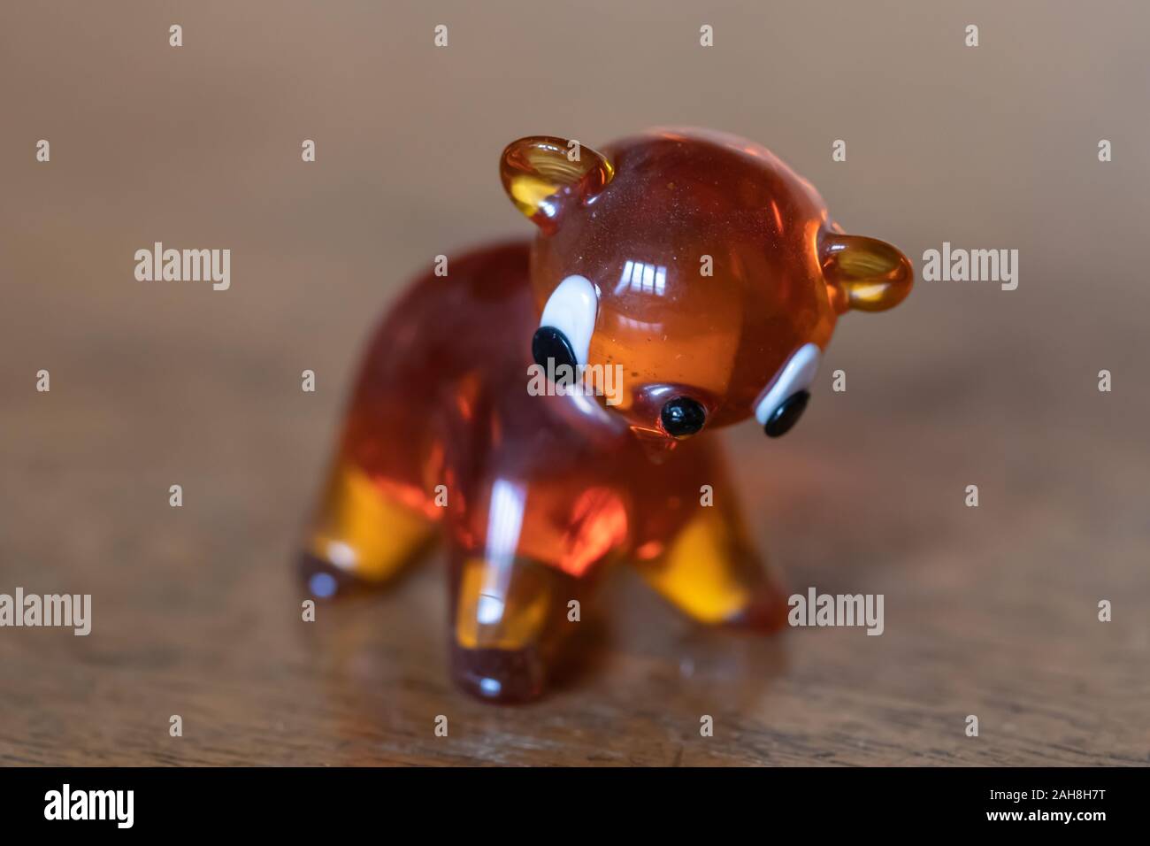 Macro look over brown glass bear Stock Photo - Alamy