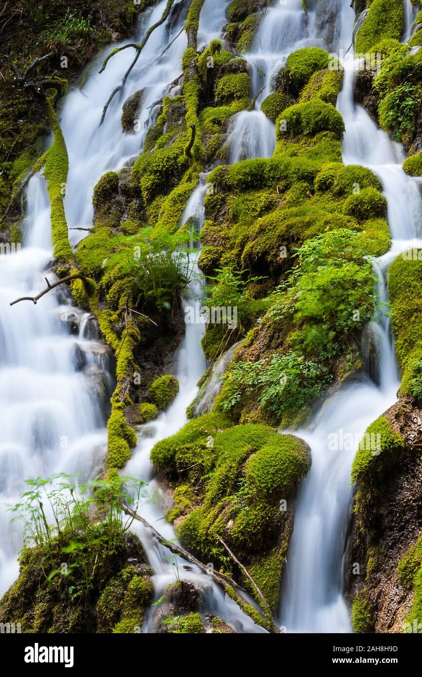 Moss covered waterfall hi-res stock photography and images - Alamy