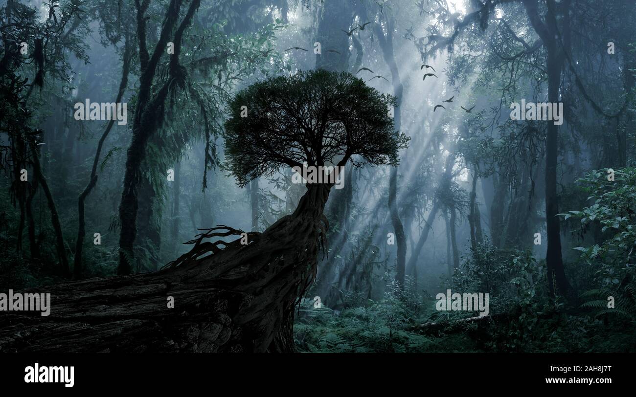 Deep jungle landscape Stock Photo - Alamy