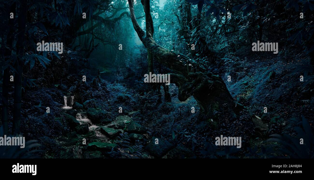Deep tropical jungle in darkness Stock Photo - Alamy