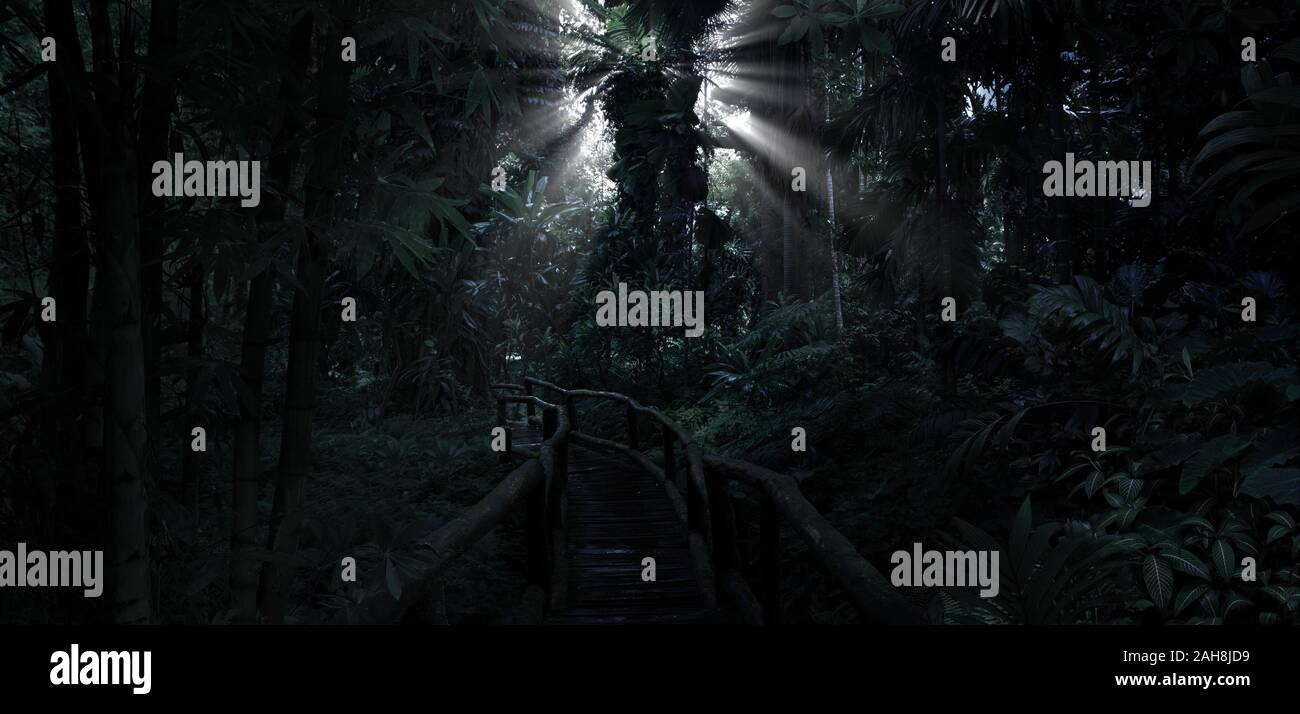 Deep tropical jungle in darkness Stock Photo - Alamy