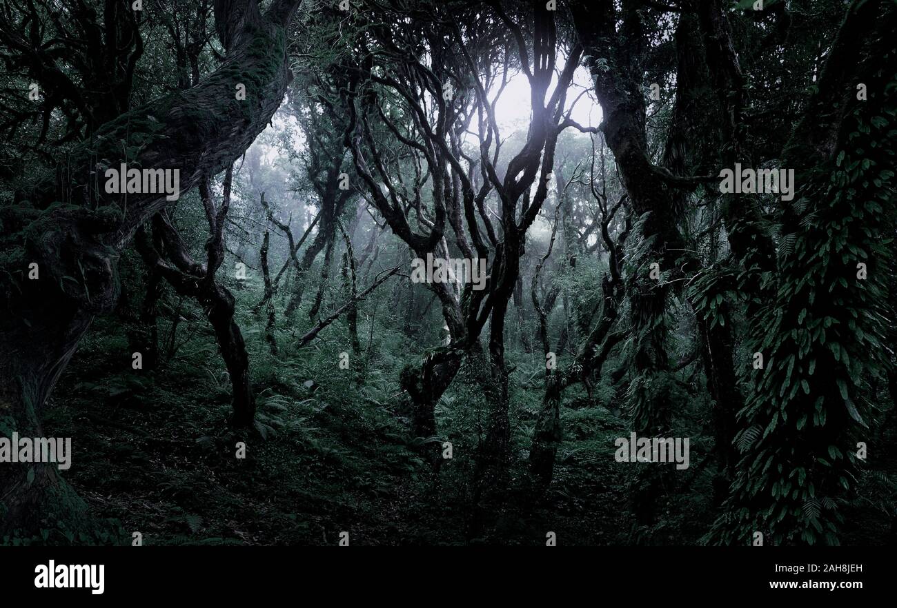 Deep tropical jungle in darkness Stock Photo - Alamy