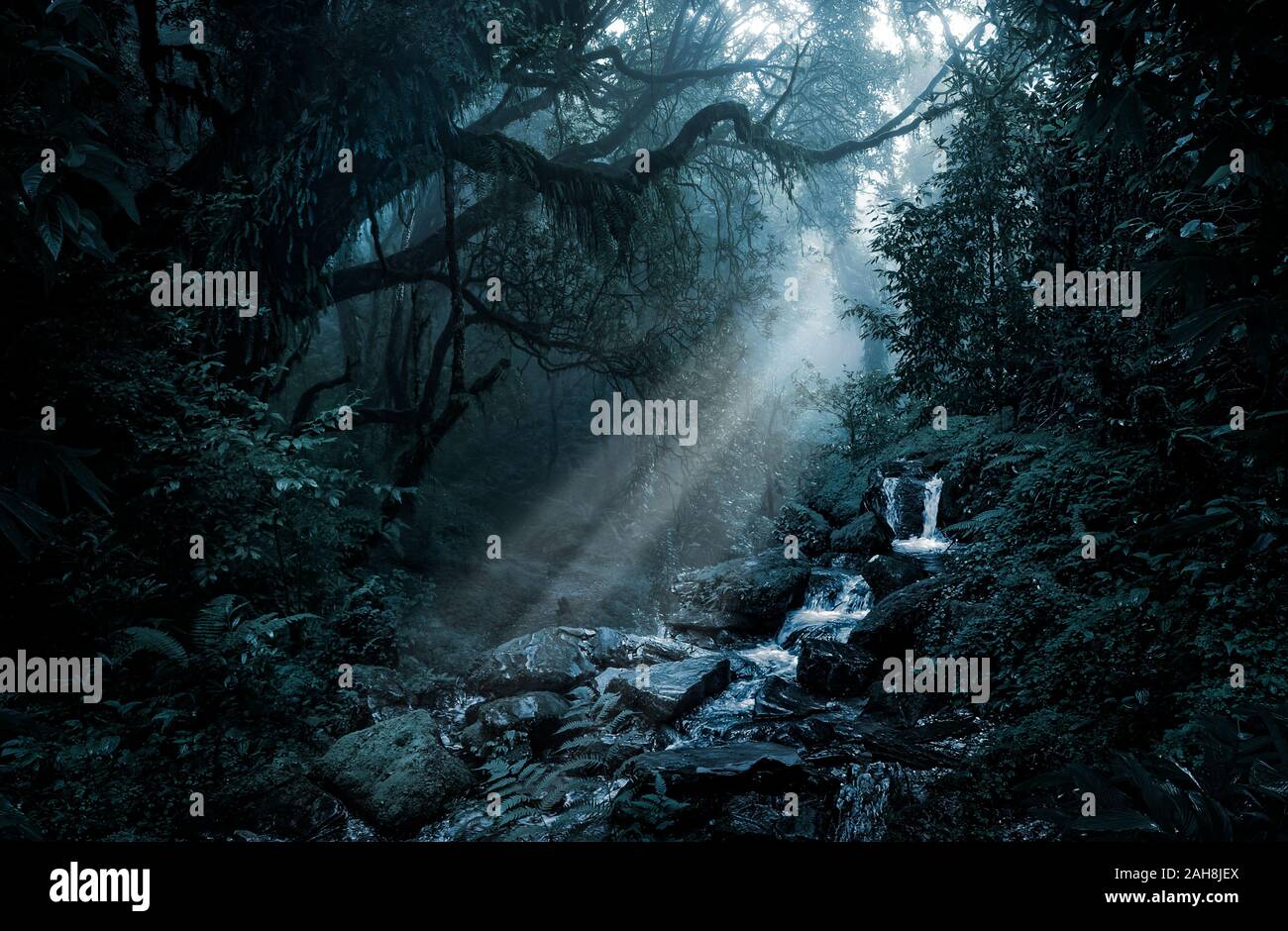 Deep tropical jungle in darkness Stock Photo - Alamy