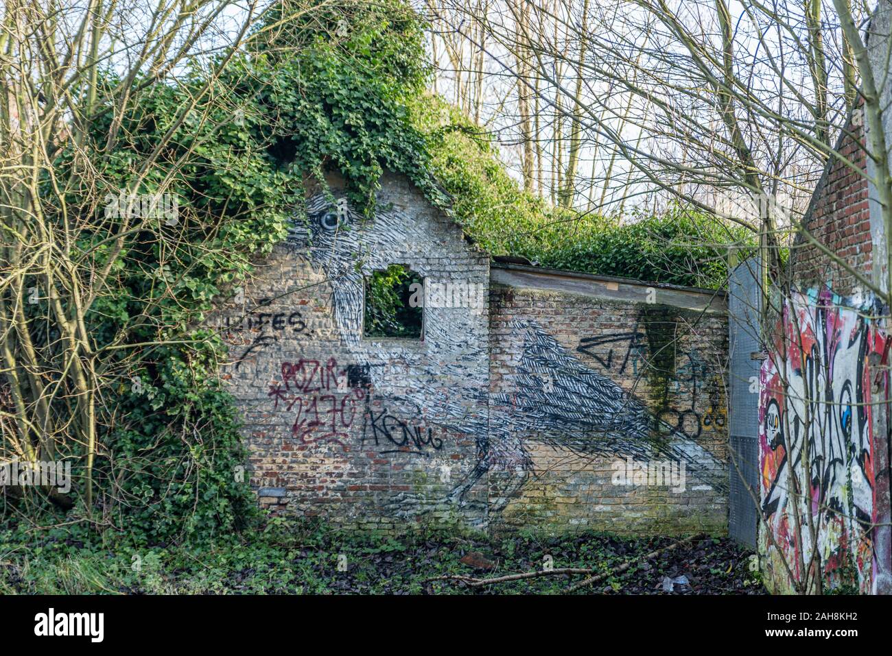 Doel Belgium December 24 2019 Abandoned village Doel in Belgium as a ...