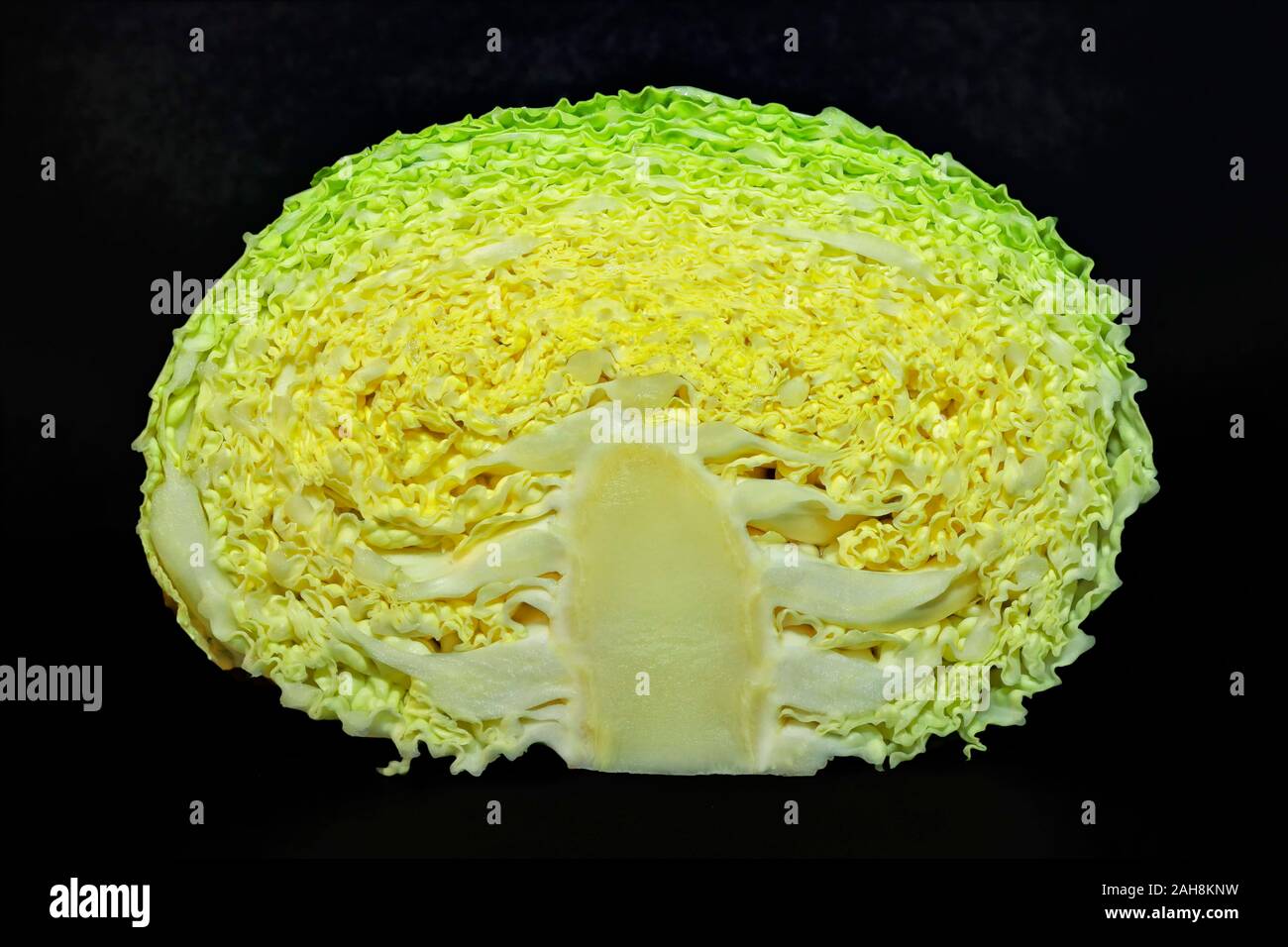 Cabbage cut in half green hi-res stock photography and images - Alamy